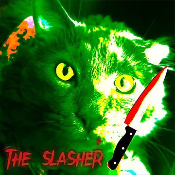 "Cat meme " Sticker for Sale by kitty-kitty- | Redbubble