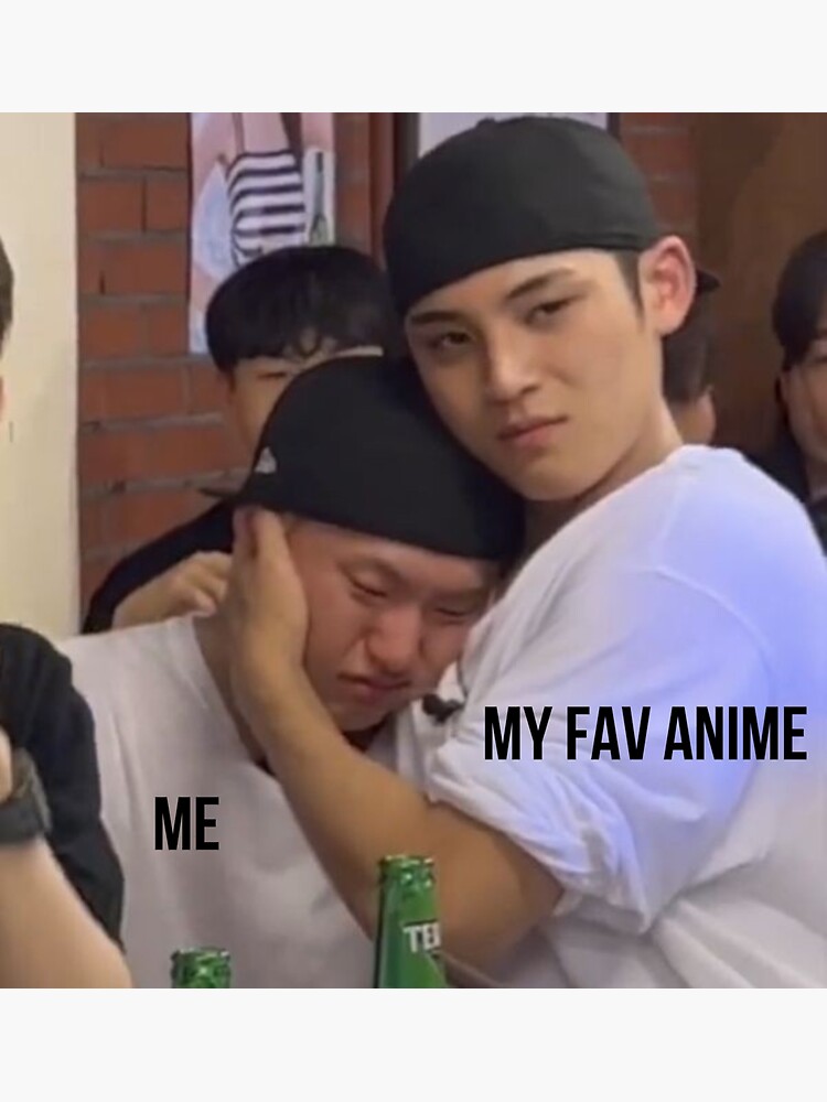 "Mingu & hoshi meme" Sticker for Sale by howlinghole | Redbubble