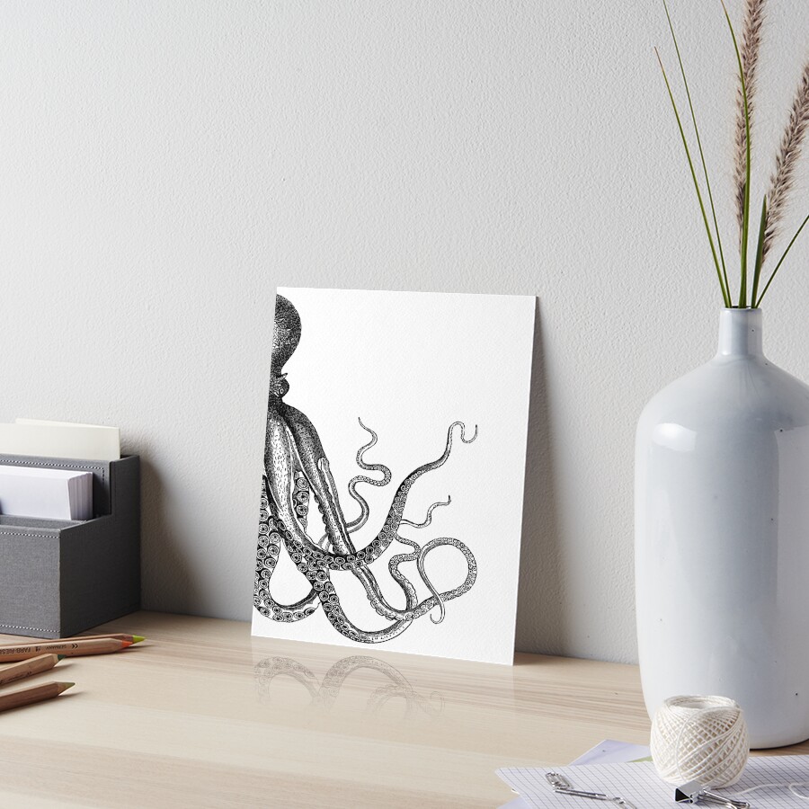 "Half Octopus | Right Side | Vintage Octopus | Tentacles | Sea ...