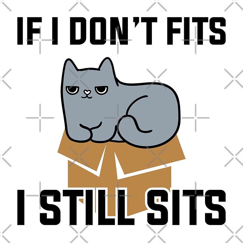 "If I Don't Fits I Still Sits" by DJBALOGH | Redbubble