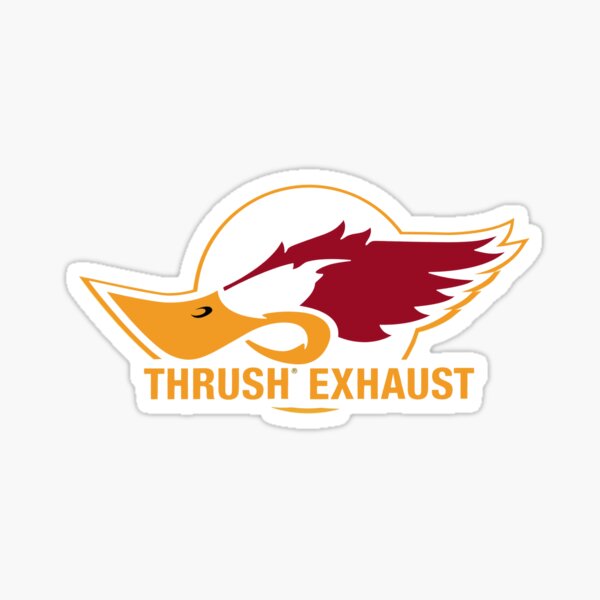 Thrush Logo Canesten Thrush Combi 500mg Pessary & 2% External Cream