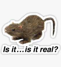 Rat Vine Gifts & Merchandise | Redbubble