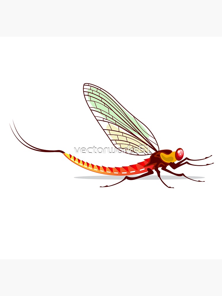 "Mayfly " Sticker for Sale by vectorworks51 | Redbubble