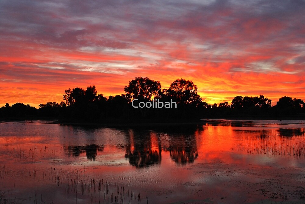 "Sunrise Island Newy reservoir Cobar NSW" by Coolibah | Redbubble