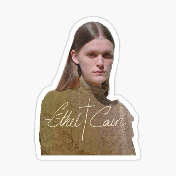 "Ethel Cain design" Sticker for Sale by OUSSAMA1SHOP | Redbubble