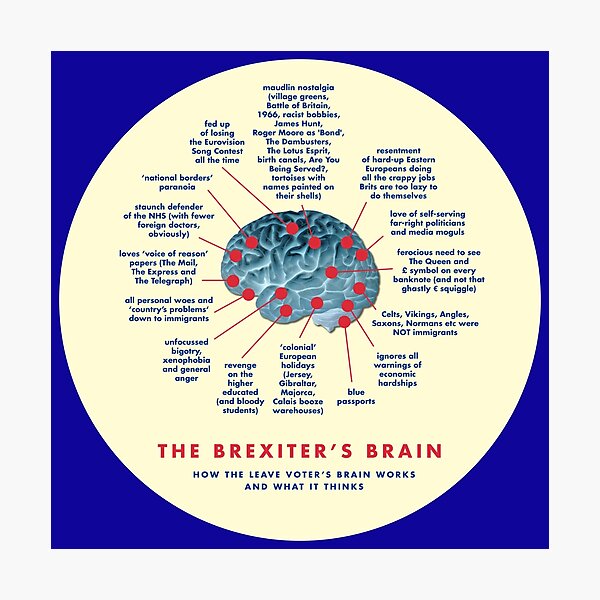 Lámina fotográfica «EL CEREBRO DE BREXITER: CÓMO ABRIR EL CEREBRO DEL ...
