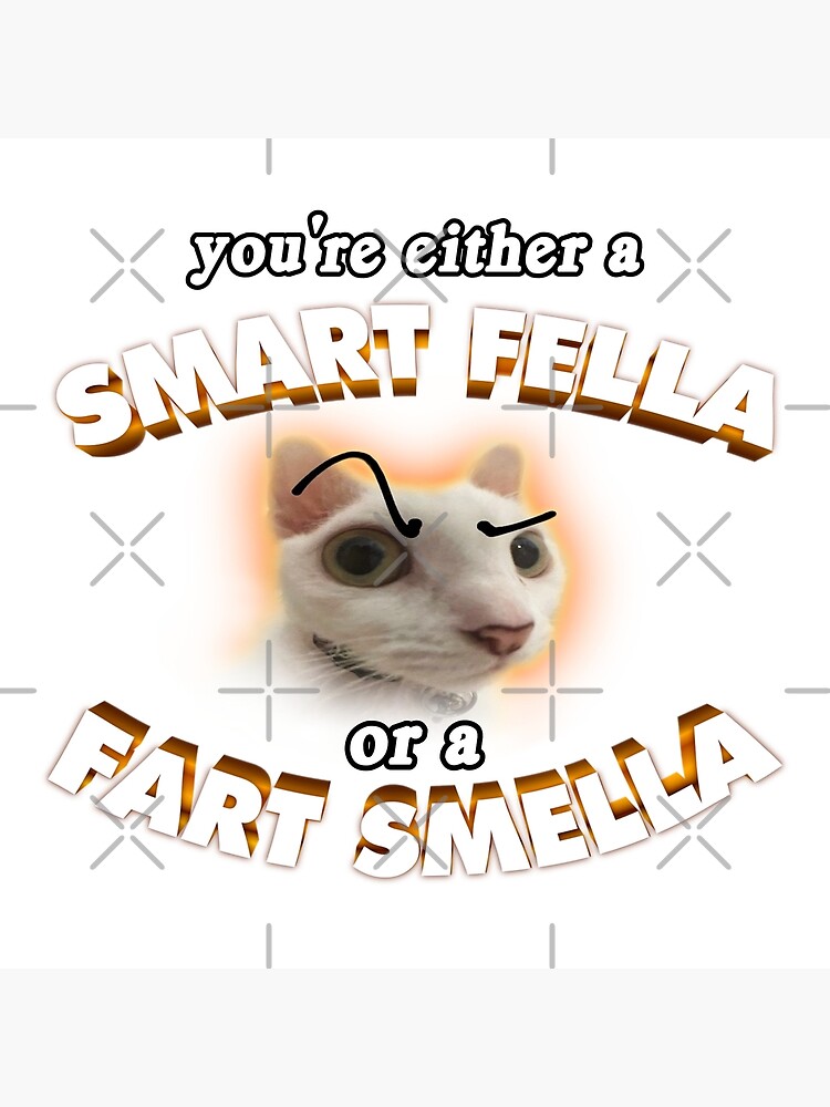 "you're a smart fella or a fart smella" Poster for Sale by ...