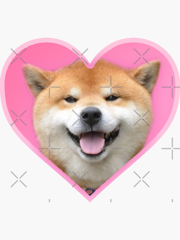 "Doggo Stickers: Shibe" Sticker for Sale by Elisecv | Redbubble