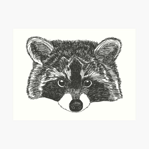 "Raccoon Line Drawing" Art Print for Sale by JaritLuin | Redbubble