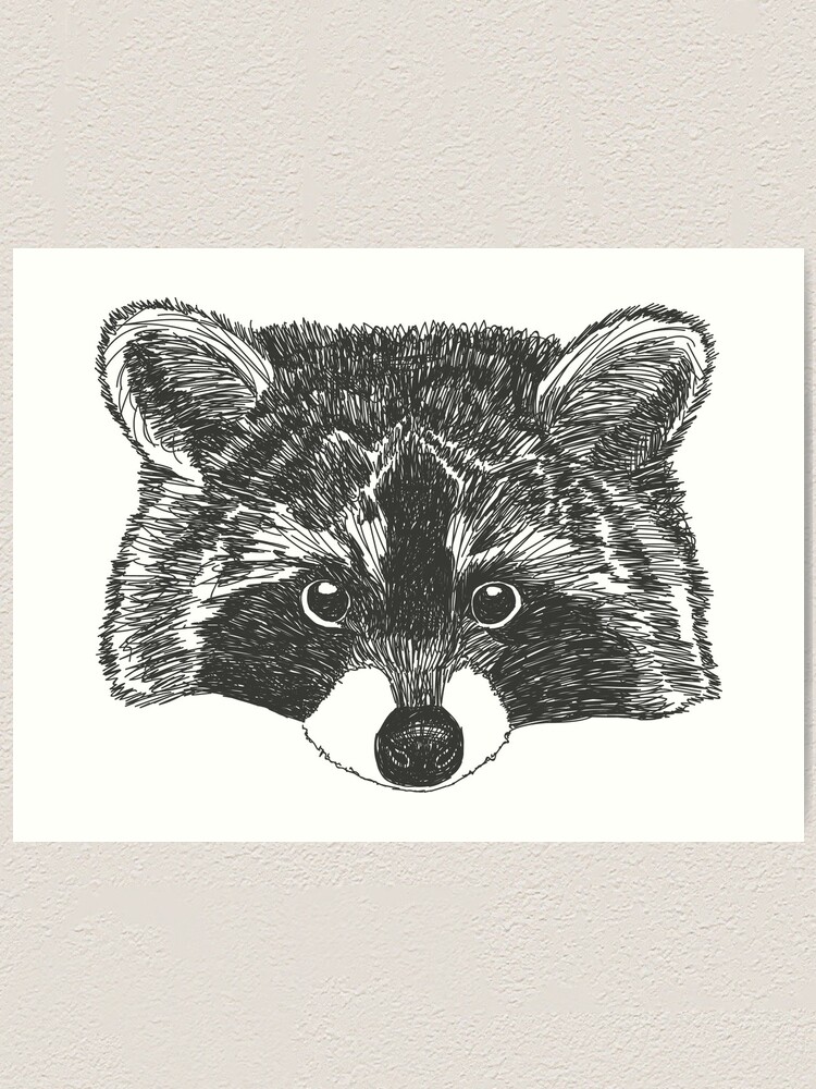 "Raccoon Line Drawing" Art Print for Sale by JaritLuin | Redbubble
