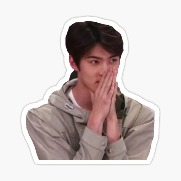 "Sehun meme" Sticker for Sale by Going-Kokoshop | Redbubble