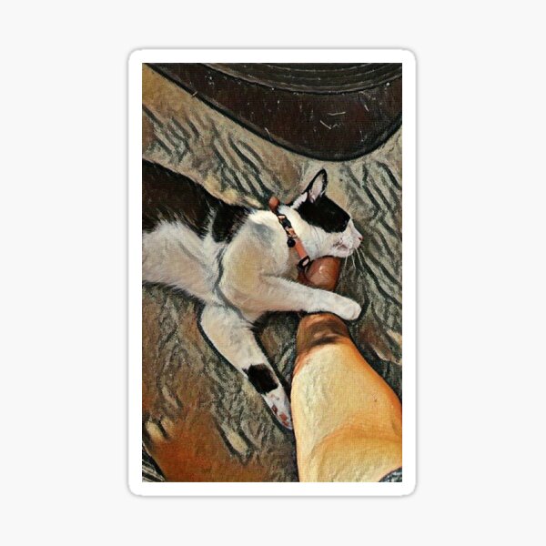 "Oreo the Cat" Sticker for Sale by Kriol | Redbubble