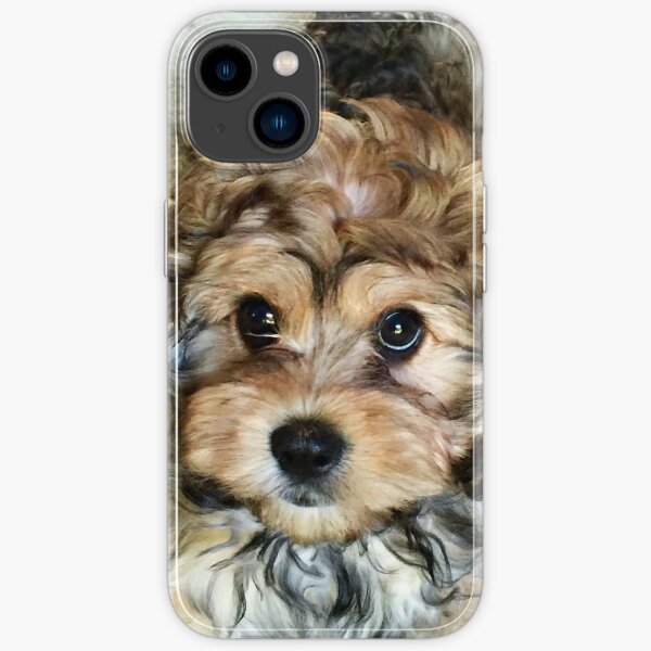 "Stella the CavaPoo #2" iPhone Case for Sale by SusanneFerrante | Redbubble