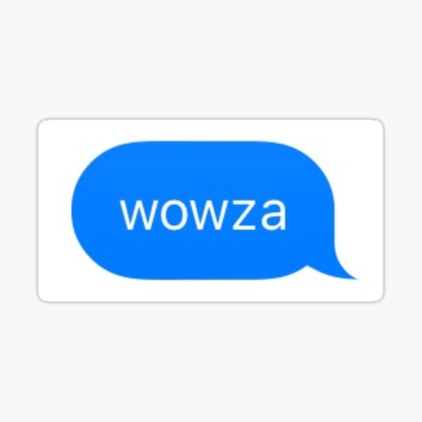 Wowza Stickers | Redbubble