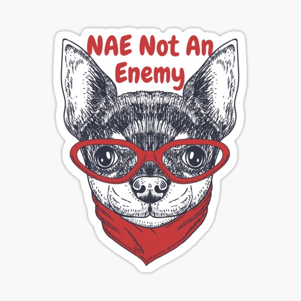 "NAE Not An Enemy" Sticker for Sale by SkillUp | Redbubble