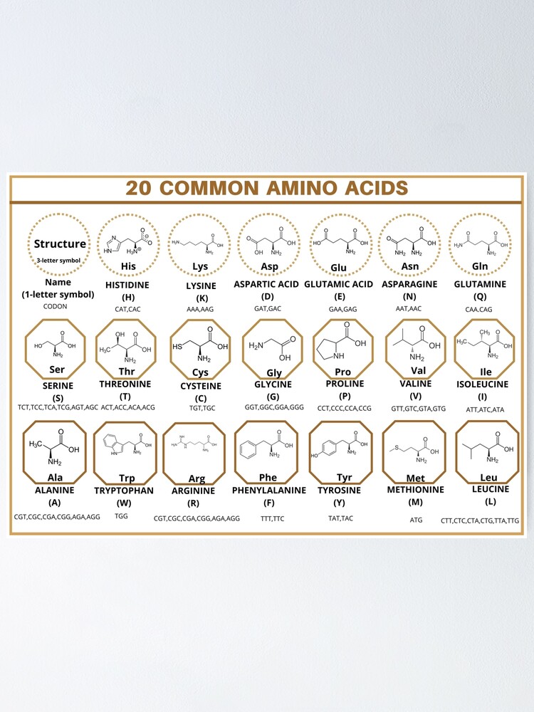 "20 Common amino acids with name, structure, 3-letter symbol, 1-letter ...