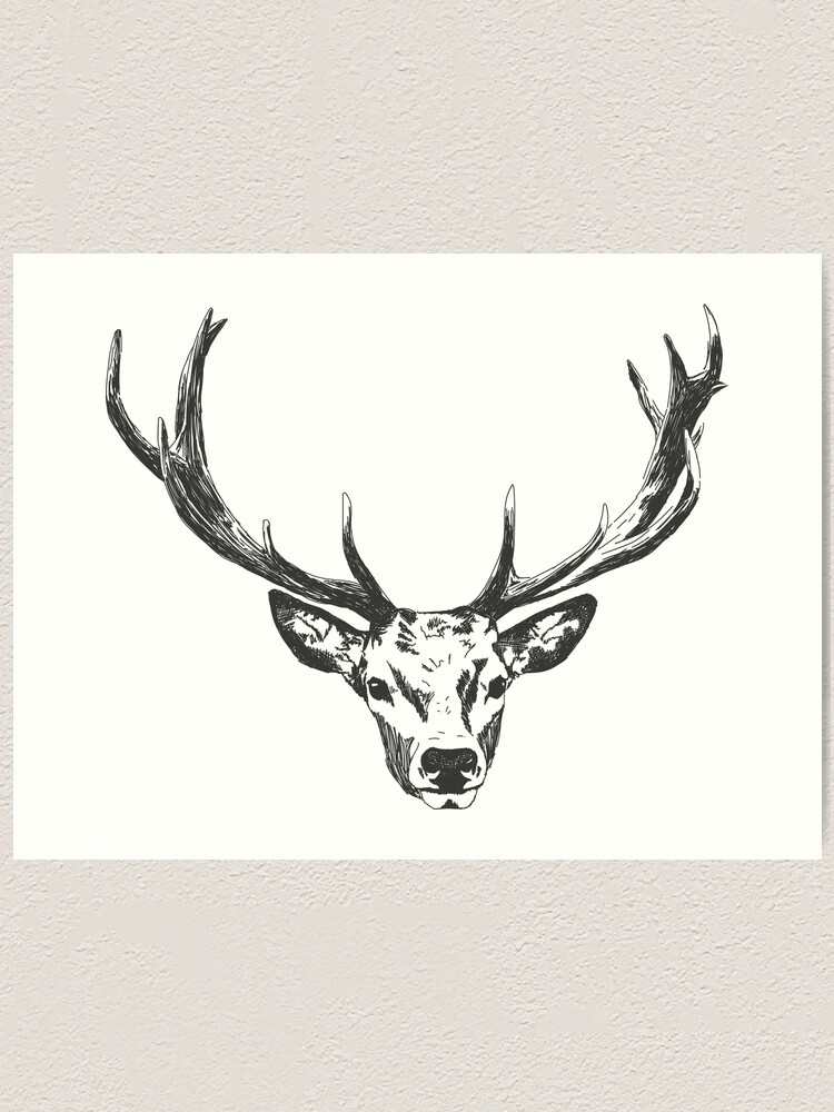 "Stag Line Drawing" Art Print for Sale by JaritLuin | Redbubble