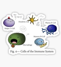 Immunology Stickers | Redbubble
