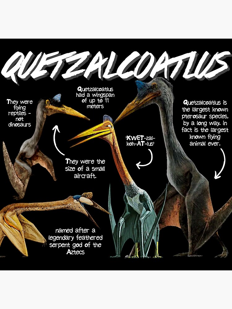 Quetzalcoatlus Fun Facts Premium Matte Vertical Poster sold by Femi ...