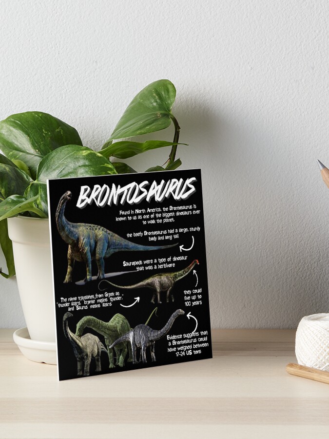 "Brontosaurus Fun Facts" Art Board Print for Sale by KyleNesas | Redbubble