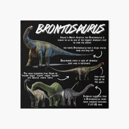 "Brontosaurus Fun Facts" Art Board Print for Sale by KyleNesas | Redbubble