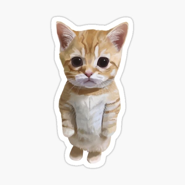 "Cute Cat Meme" Sticker for Sale by Mashz | Redbubble