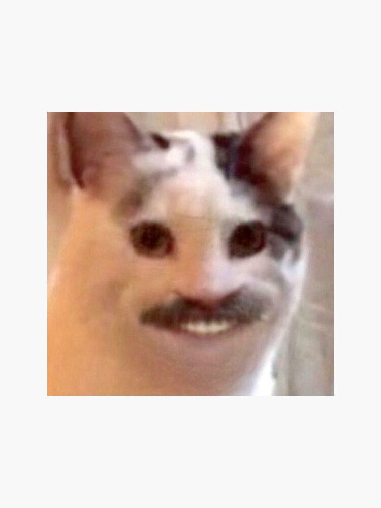 Moustache Cat Memes