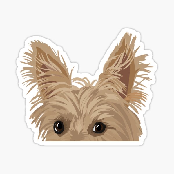 "Yorkie Eyes" Sticker for Sale by Milli Co Studio | Redbubble