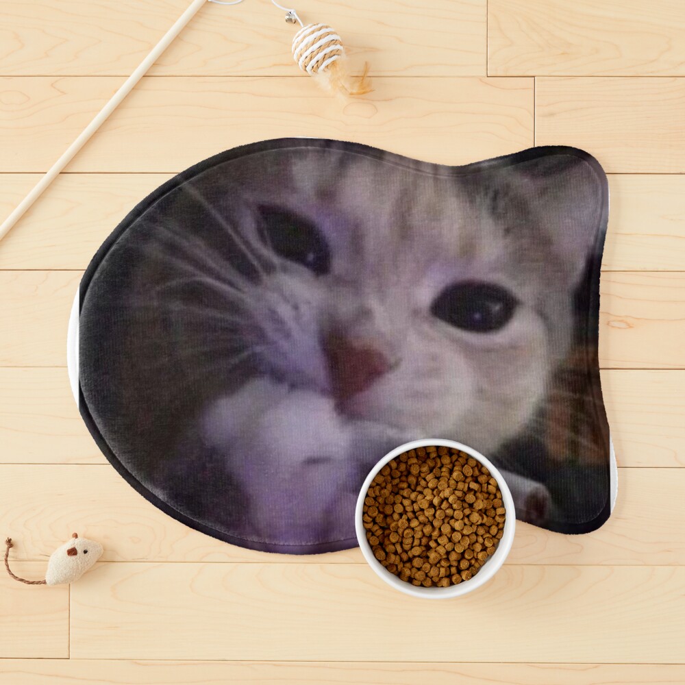 "smoking cat funny sticker " Sticker for Sale by sersidom | Redbubble