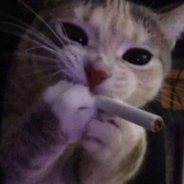 "smoking cat funny sticker " Sticker for Sale by sersidom | Redbubble