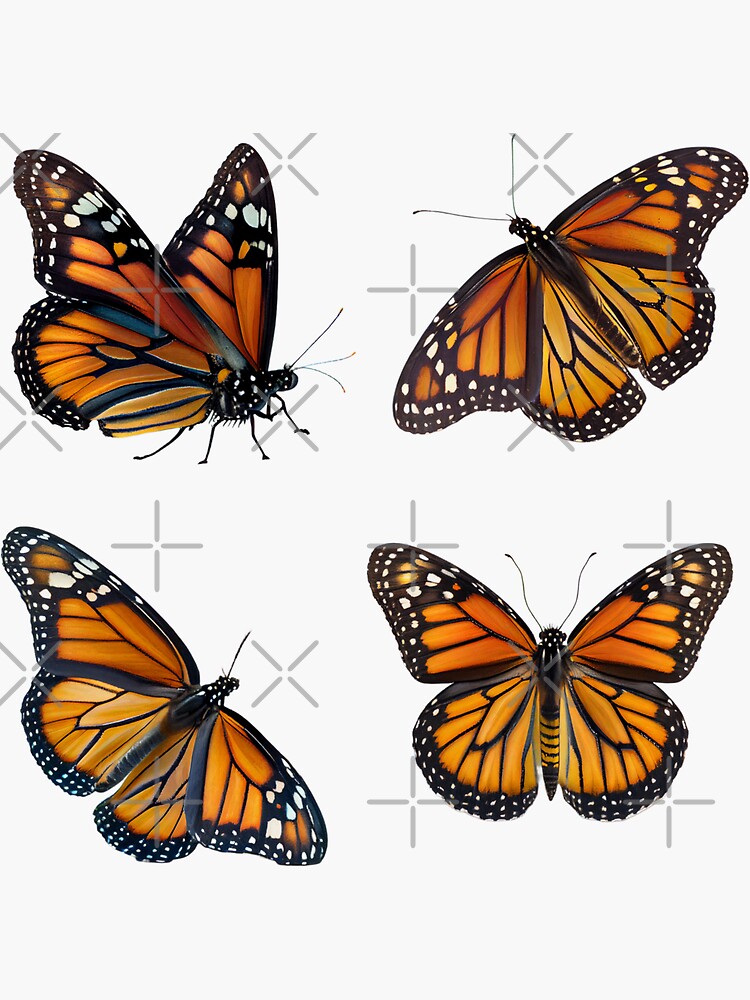"Butterfly Bundle : Monarch Butterfly Rapsody" Sticker for Sale by ...