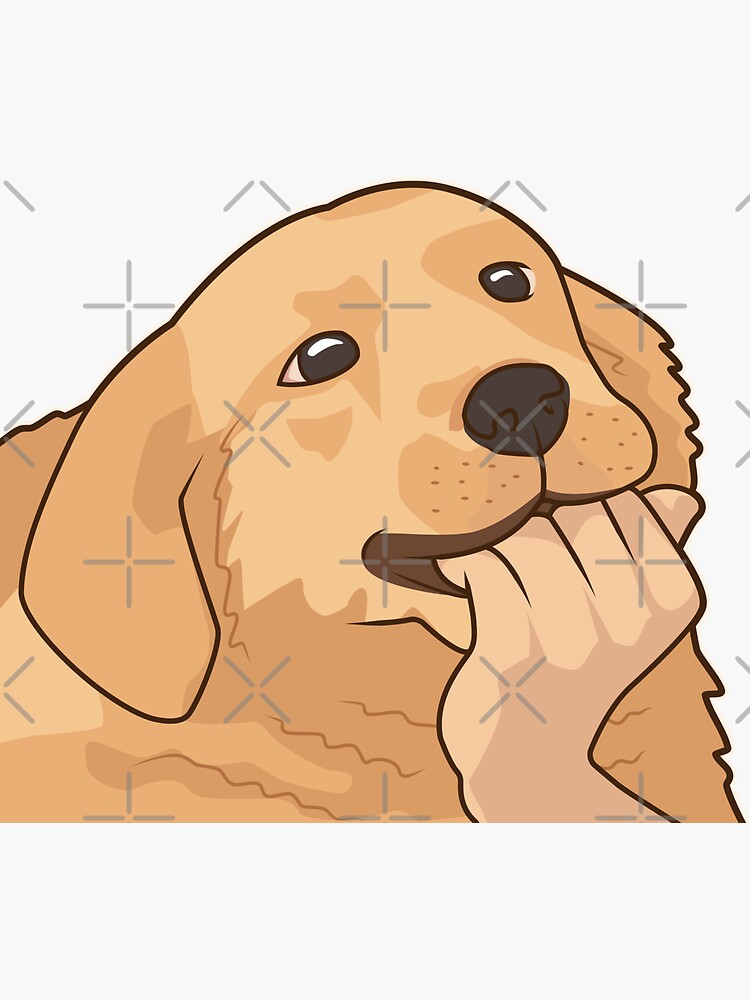 "Interested Labrador dog with hand on mouth meme" Sticker for Sale by ...