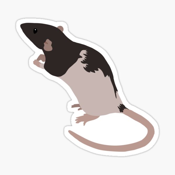 "standing hooded rat sticker and magnet" Sticker for Sale by potats ...