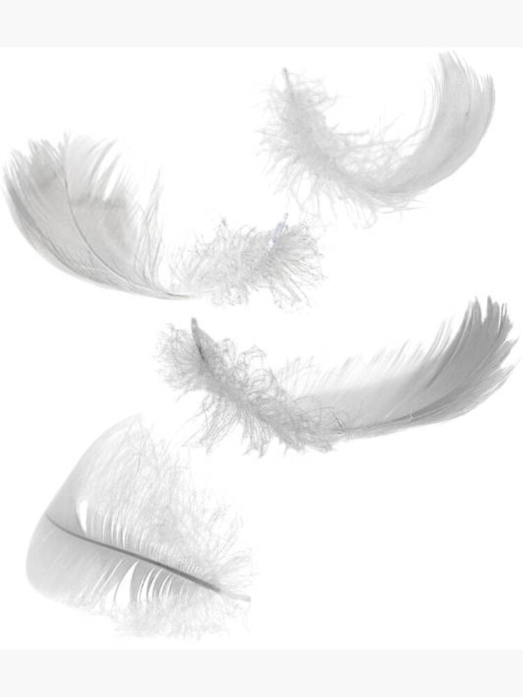 "floating feathers" Sticker for Sale by GrappleGraphics | Redbubble