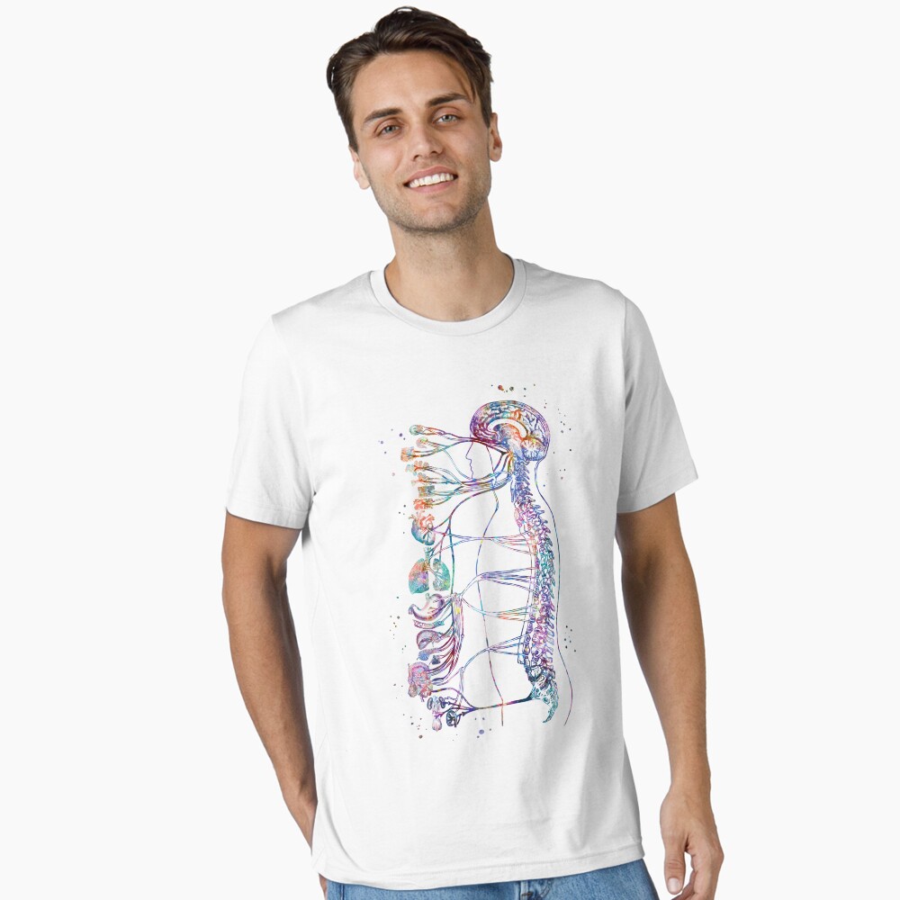 "Autonomic Nervous System" Sticker for Sale by EvasDreams | Redbubble