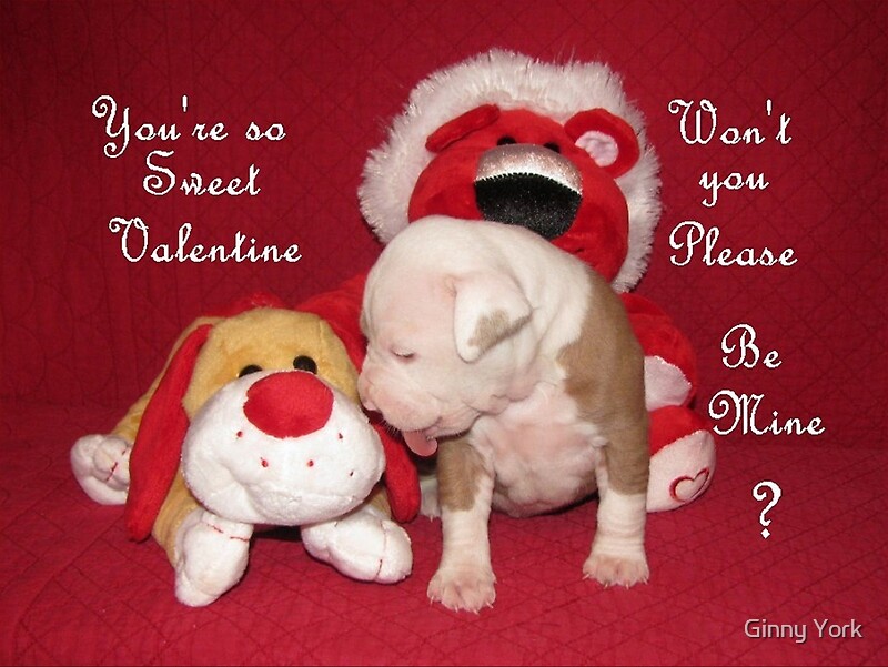 "Be Mine Sweet Valentine" by Ginny York | Redbubble