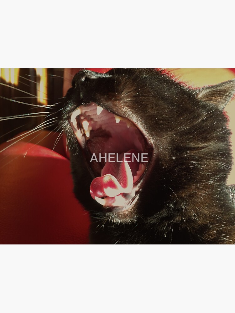"Crockett the cat" Sticker for Sale by AHELENE | Redbubble