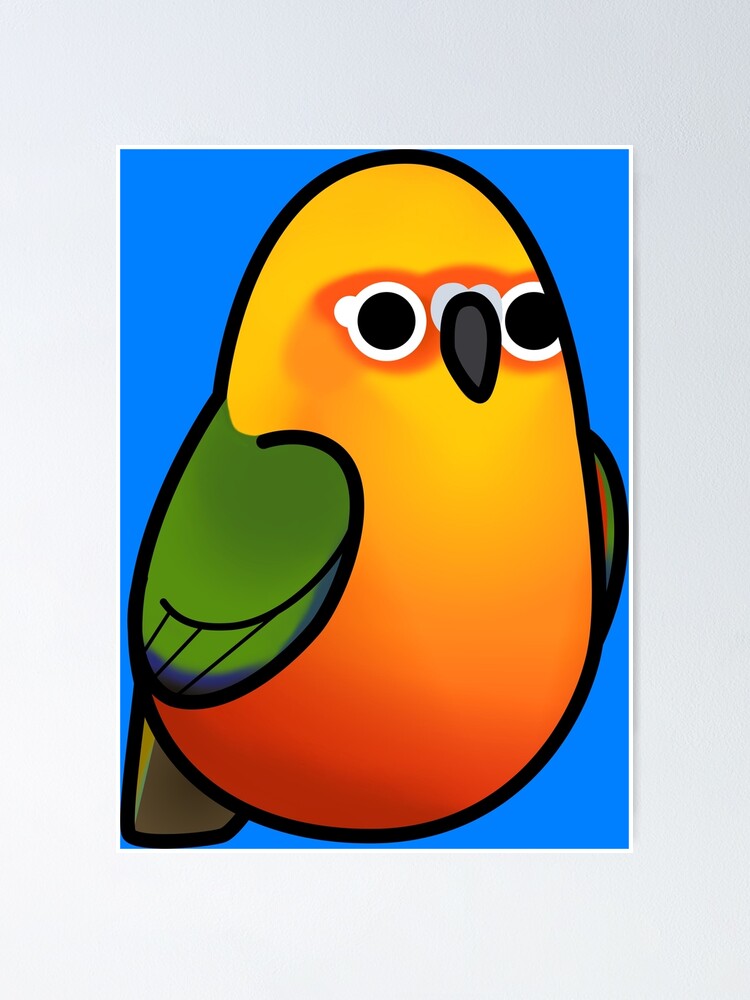 "Too Many Birds! - Jenday Conure/Jendaya Parakeet" Poster by ...