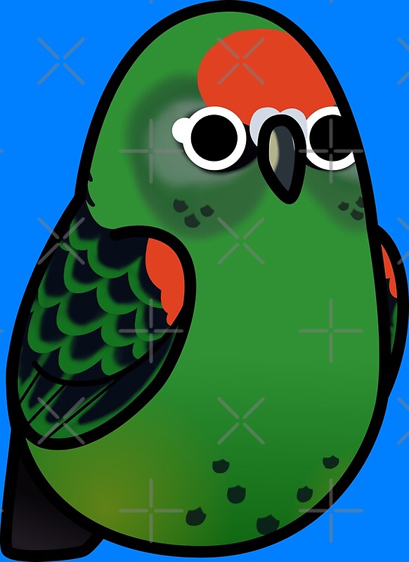 "Too Many Birds! - Jardine's Parrot" by MaddeMichael | Redbubble