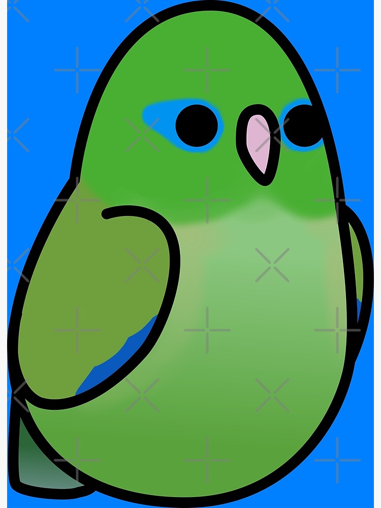 "Too Many Birds! - Spectacled Parrotlet" Poster by MaddeMichael | Redbubble