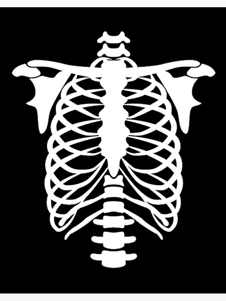 "SKELETON TORSO" Art Board Print for Sale by HAUNTERSDEPOT | Redbubble