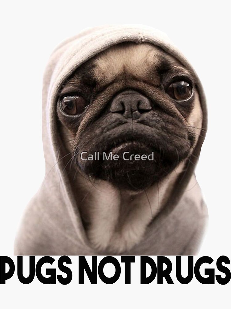 "Pugs Not Drugs" Sticker for Sale by amandagolf59 | Redbubble