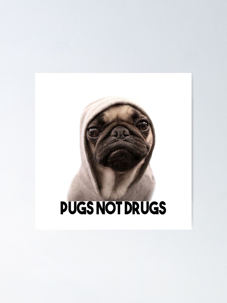 "Pugs Not Drugs" Poster for Sale by amandagolf59 | Redbubble