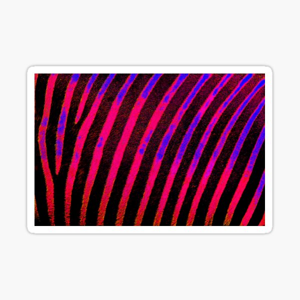 "Electric Zebra Stripes in Neon Red" Sticker for Sale by WildArtDesigns ...