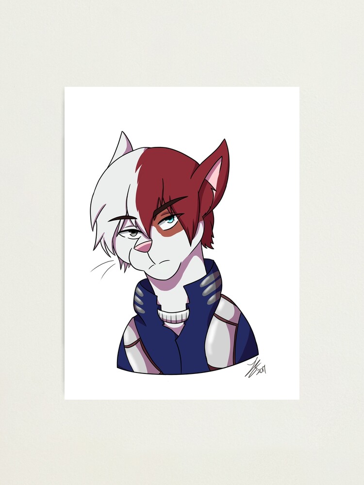 "Todoroki Cat" Photographic Print for Sale by Cloudskid1 | Redbubble