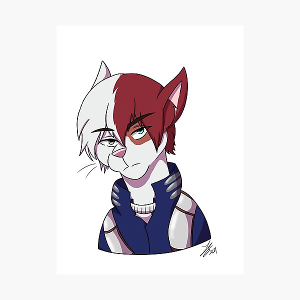 "Todoroki Cat" Photographic Print for Sale by Cloudskid1 | Redbubble