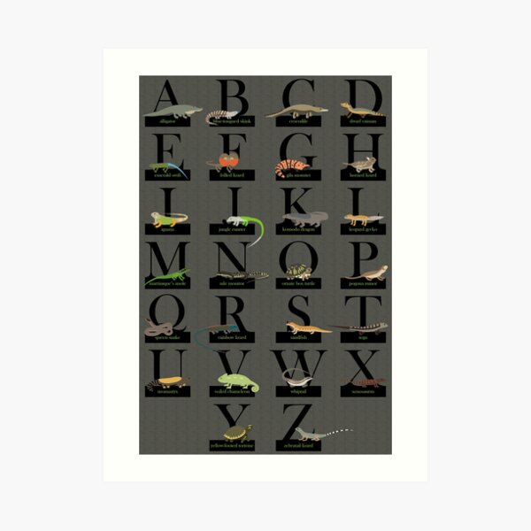 "Reptiles Alphabet" Art Print by babybigfoot | Redbubble