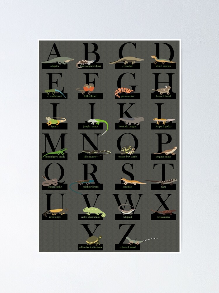 "Reptiles Alphabet" Poster for Sale by babybigfoot | Redbubble