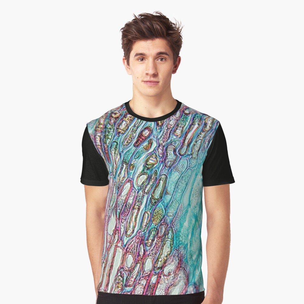 "cycad tree, epidermal cells; plant anatomy, microscopy" Sticker for ...