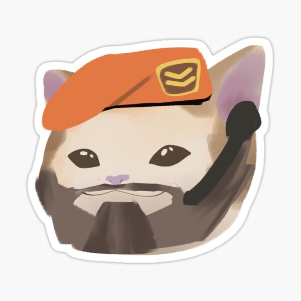 "Brimmy Cat" Sticker for Sale by Honeydew-milkT | Redbubble